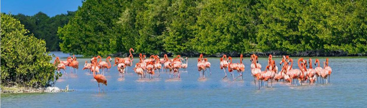 Campeche – Maya Train Adventures